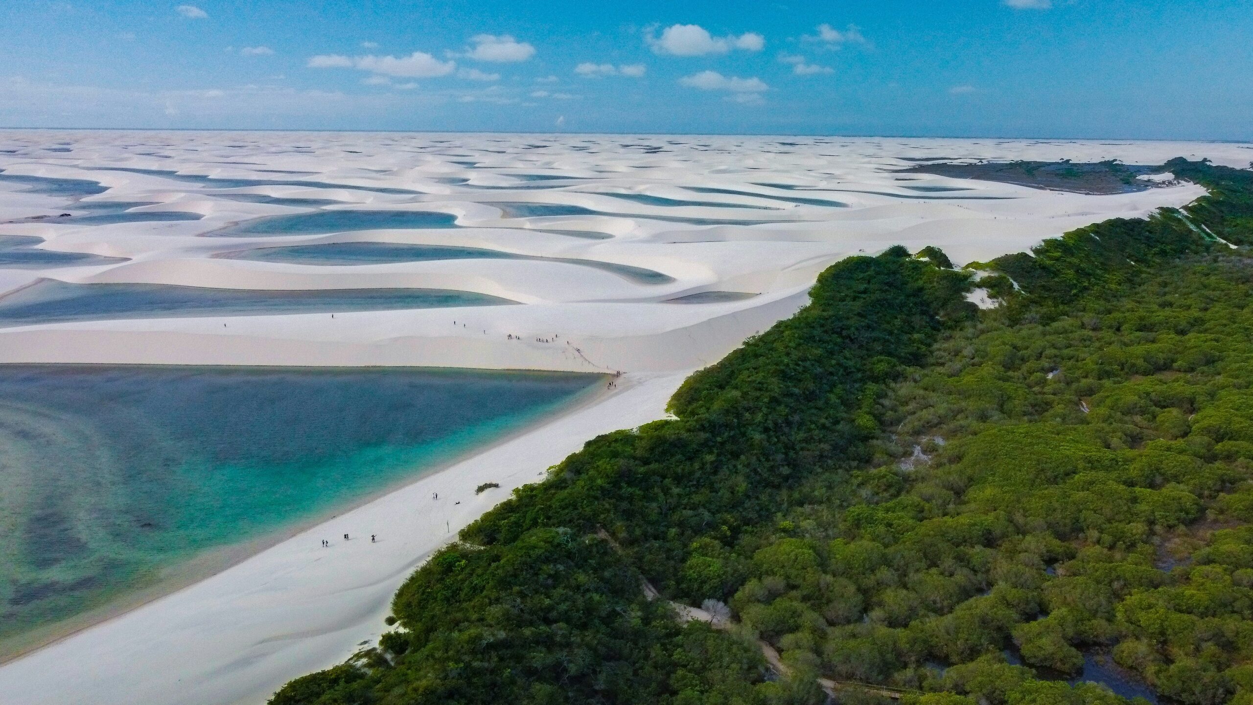 Natural World Heritage Sites Located in Brazil