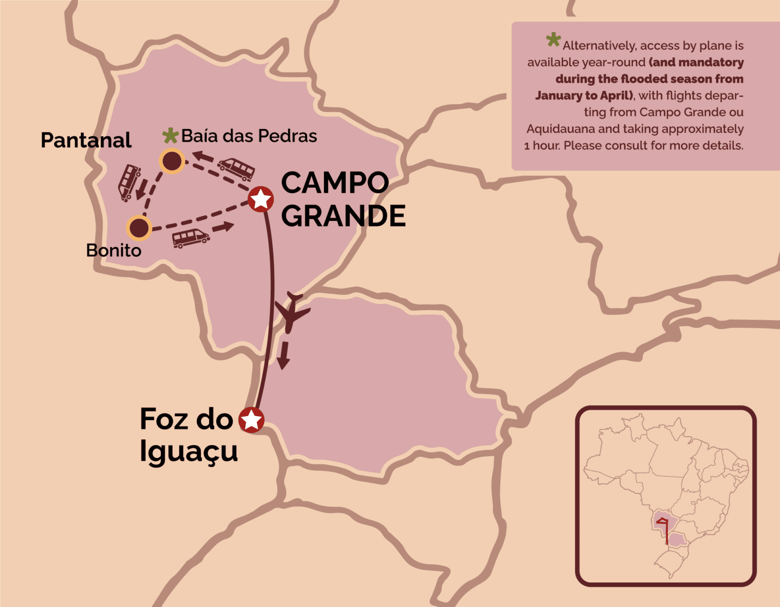 Brazilian Wildlife & Nature Wonders - UPGRADE - Gondwana Brasil